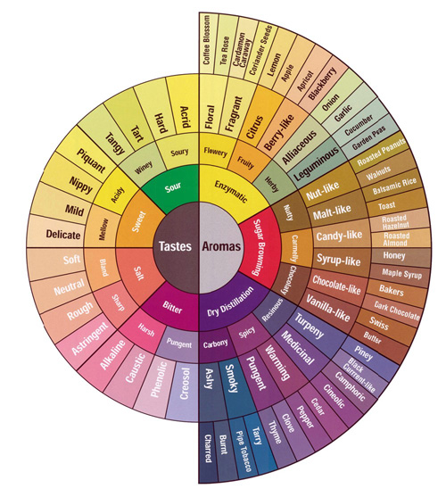 An Easy Solution to Coffee Flavor Profiles: Robusta or Arabica ... An Easy Solution to Coffee Flavor Profiles: Robusta or Arabica ...